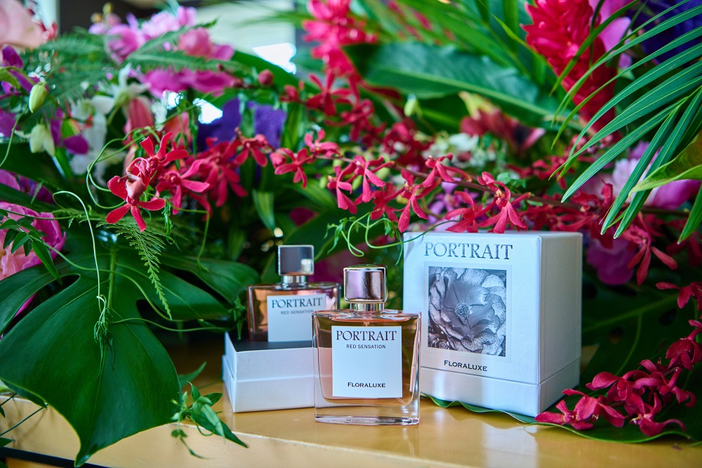 PORTRAIT – GRABLISS web plus