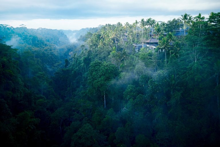 滞在型リゾート「星のやバリ」 - GRABLISS web plus