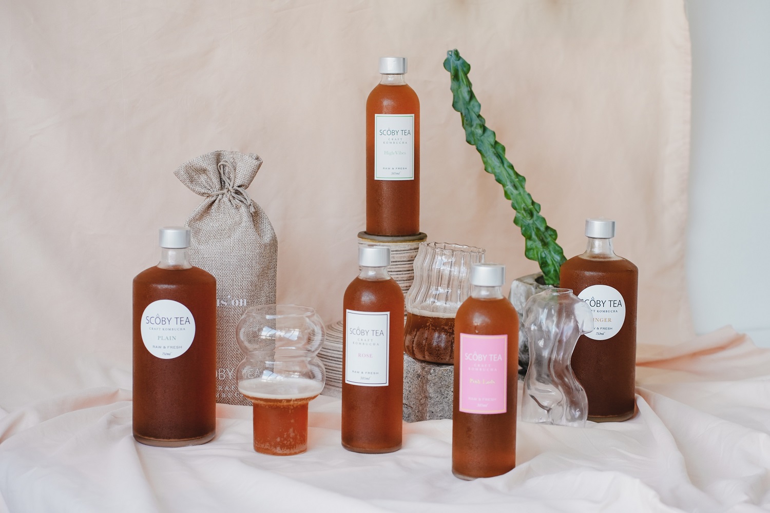 SCOBY TEA - GRABLISS web plus